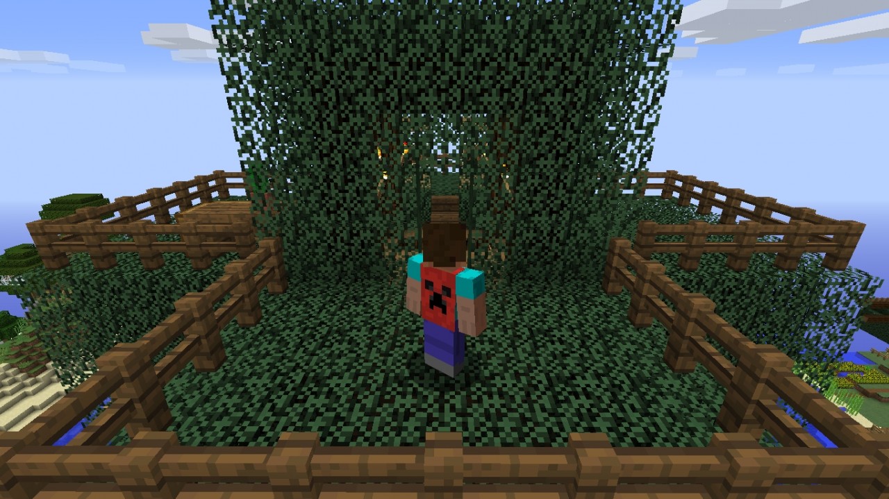 How To Get A Cape In Minecraft No Mods Minecraft Blog