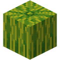Random Deleted Chunk Minecraft Data Pack