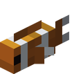Fish Cape Minecraft Mob Skin