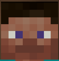 Java, Steve Minecraft Skins | Planet Minecraft Community