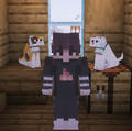 Coldified Minecraft Skin