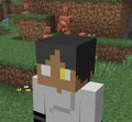 Player Head Respawn Minecraft Data Pack