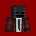 2011x Minecraft Skin