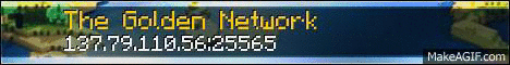 Golden Network Block Hunt! Minecraft Server