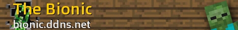 The Bionic Minecraft Server