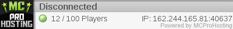 Disconnected Minecraft Server