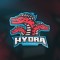 Hydra-Network Minecraft Server