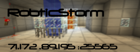 Robotic Storm Minecraft Server