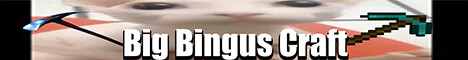 Big Bingus Craft Minecraft Server