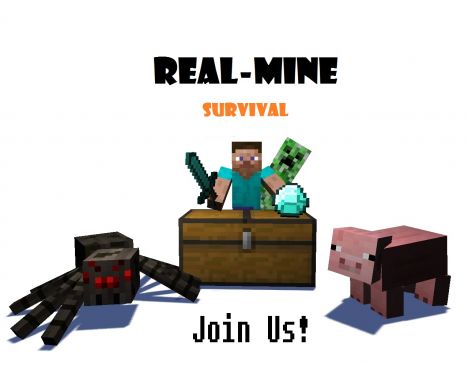 Real-Mine Minecraft Server
