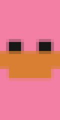 Pink Duck Banner Minecraft Banner