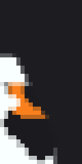 Duck :) Minecraft Banner