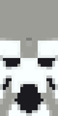 Storm trooper (starwars) Minecraft Banner