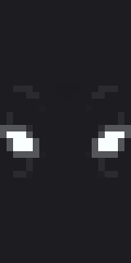 Void Eyes Minecraft Banner
