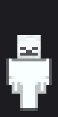 Skeleton Banner Minecraft Banner