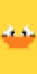 duck Minecraft Banner