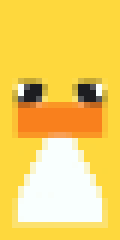 Duck Minecraft Banner