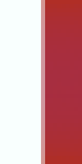Monaco Perfect Flag Minecraft Banner