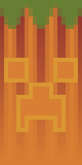 Creeper Pumpkin! Minecraft Banner