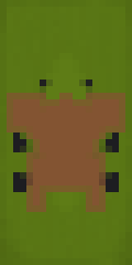 Beetle Minecraft Banner