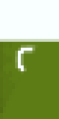 Pakistan flag Banner Minecraft Banner