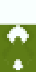 Pakistan Flag Minecraft Banner