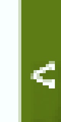 Pakistan flag Minecraft Banner