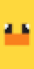 cute duck Minecraft Banner