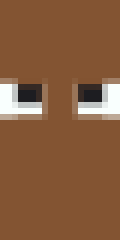 eyes Minecraft Banner