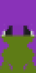 purple frog Minecraft Banner