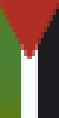 Nation: Palestine (V2) Minecraft Banner
