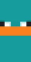Perry Minecraft Banner