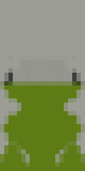 frog Minecraft Banner