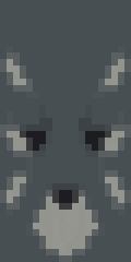 Mapache Minecraft Banner
