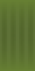 Optifine Banner Cape: Green Minecraft Banner