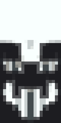 skull Minecraft Banner