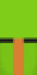 kakapo Minecraft Banner