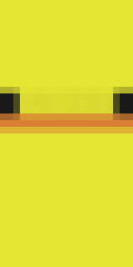 Duck Banner (By Ifailed2times) Minecraft Banner