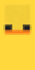 Derp Duck / Chick Minecraft Banner