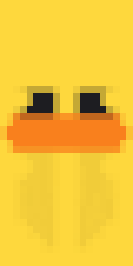 DUCKYYYYY Minecraft Banner