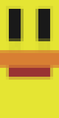 Duck Banner Minecraft Banner