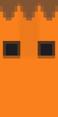 Grian Minecraft Banner