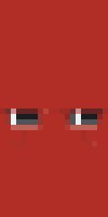 face Minecraft Banner