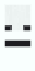 face Minecraft Banner
