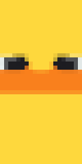 duck Minecraft Banner