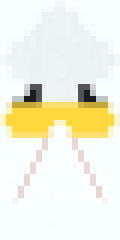 New Duck Minecraft Banners & Capes - Planet Minecraft