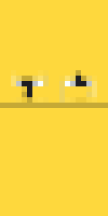 Face Minecraft Banner