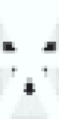 Derpy Polar Bear Minecraft Banner