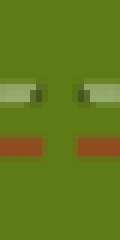 frog pepe Banner Minecraft Banner