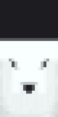 /(V_V)/ Grumpy Minecraft Banner
